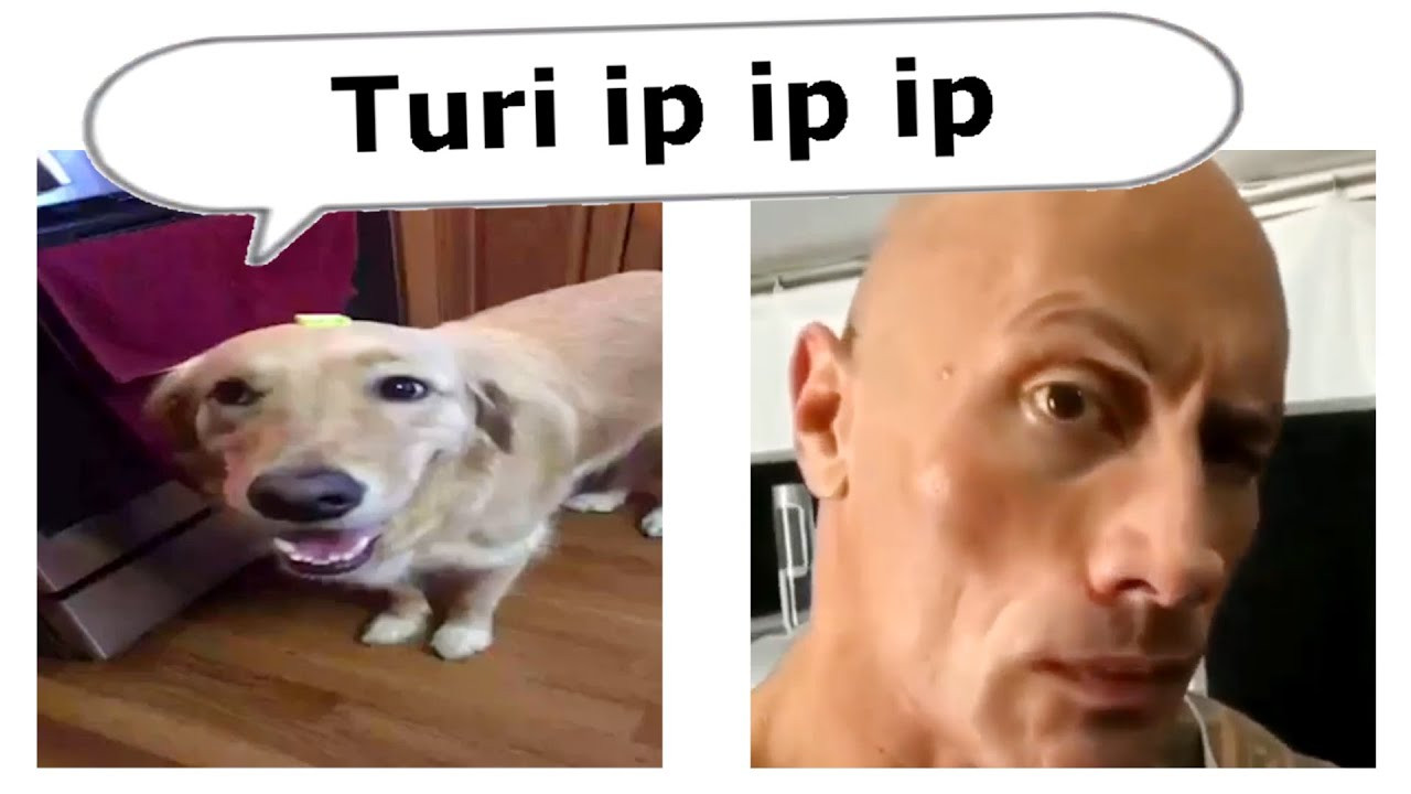 Turi Ip Ip Soundfont + Chromatic Scale [Friday Night Funkin'] [Modding ...