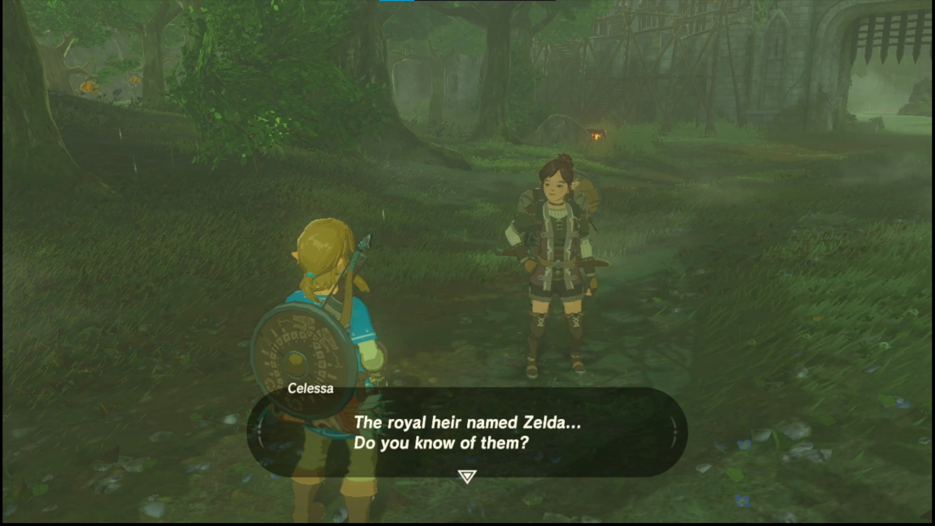 CCTE: Custom Character Text Editor Modding Tool for The Legend of Zelda ...