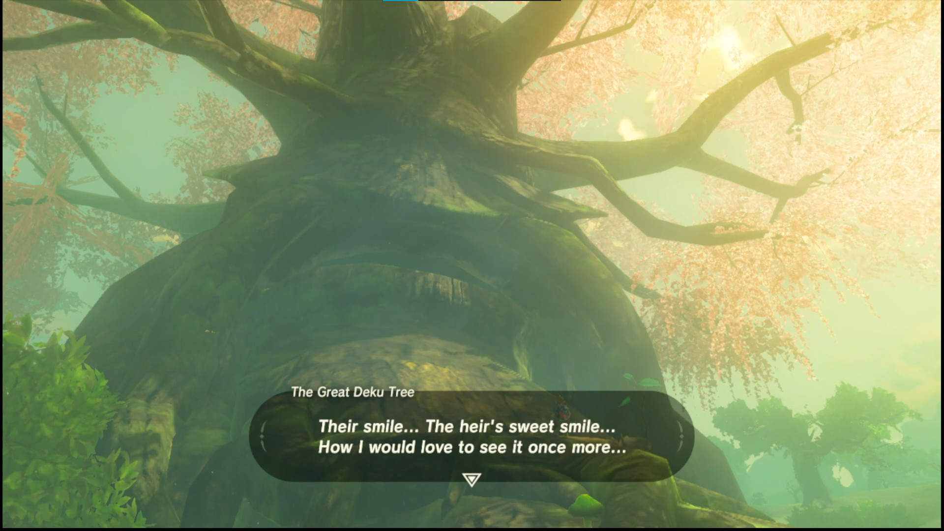 CCTE: Custom Character Text Editor Modding Tool for The Legend of Zelda ...