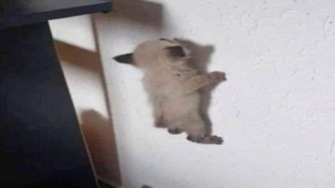 another Custom Boyfriend Chromatic Scale/Soundfont Modding Tool for ...