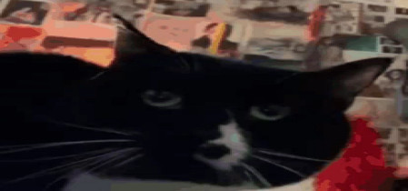 Maxwell The Cat FLP Modding Tool for Friday Night Funkin' | FNF Modding ...