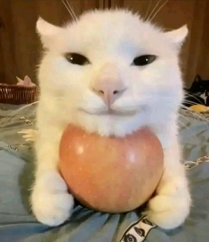 JustBorn FnF Color Palette Modding Tool for Friday Night Funkin' | FNF ...