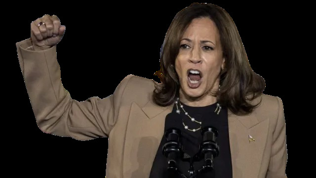 Kamala Harris And Donald Trump Chromatic Bundle Modding Tool for Friday ...