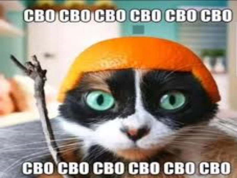 (80-90% Acc) Sparta Stories Base Reacreation FLP Modding Tool for ...