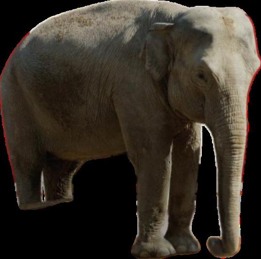 African Elephant Chromatic Scale Modding Tool for Friday Night Funkin ...