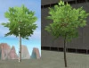 Editing vertex normals for better foliage (3dsmax) Tutorial for ...