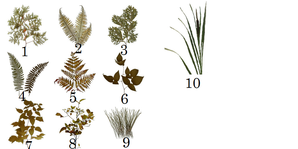 The "prop_detail_sprite" guide Tutorial for Source Engine | Source Tutorials