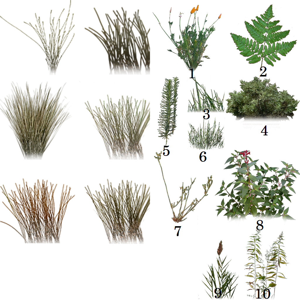 The "prop_detail_sprite" guide Tutorial for Source Engine | Source Tutorials