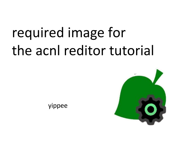 Using ACNL REditor to Make Code Patches Tutorial for Animal Crossing ...