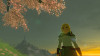 Playable Character: Linkle Work In Progress for The Legend of Zelda ...