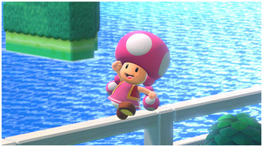 [WIP] Toadette port Work In Progress for Super Mario 3D World + Bowser ...