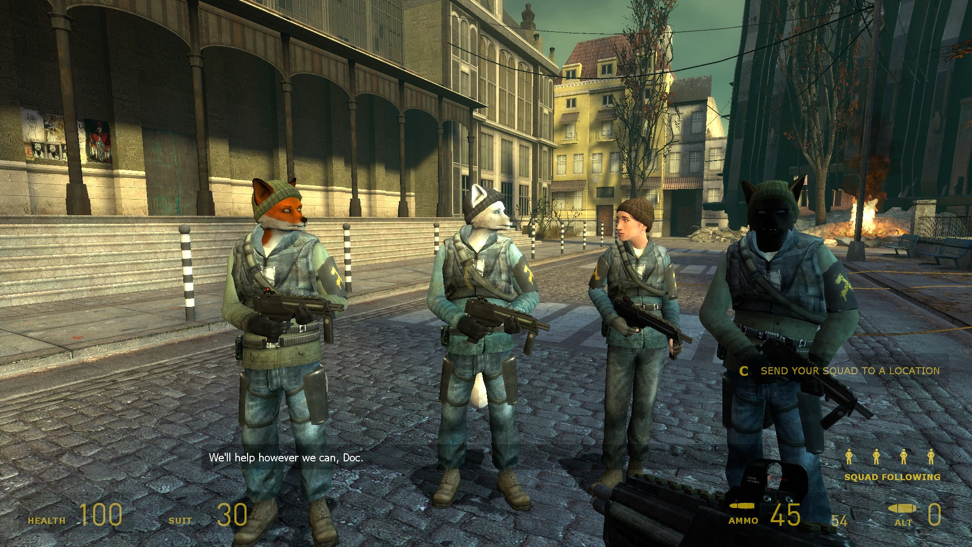 FNV Vulpine Overhaul Work In Progress for Half-Life 2 | HL2 Works In ...