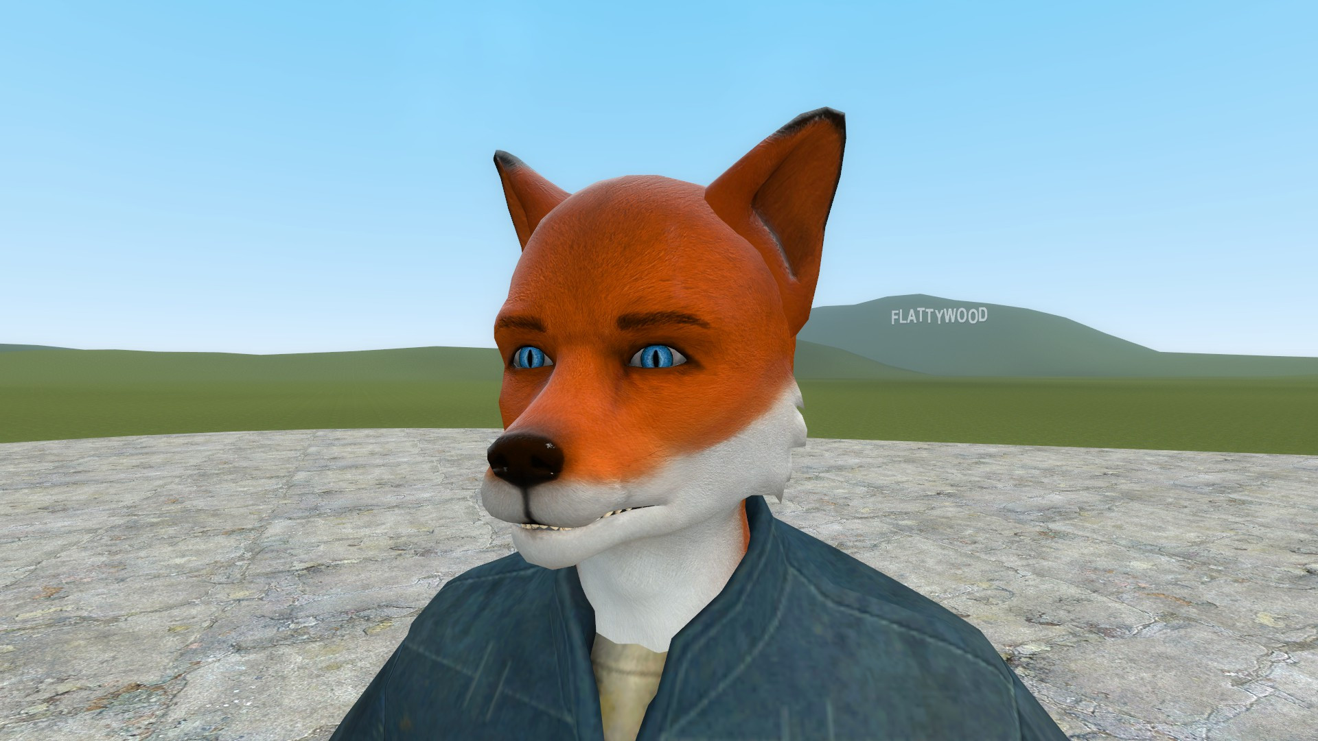 FNV Vulpine Overhaul Work In Progress for Half-Life 2 | HL2 Works In ...