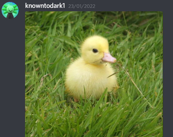 [FNF 64] V2.0 [Friday Night Funkin'] [Works In Progress]