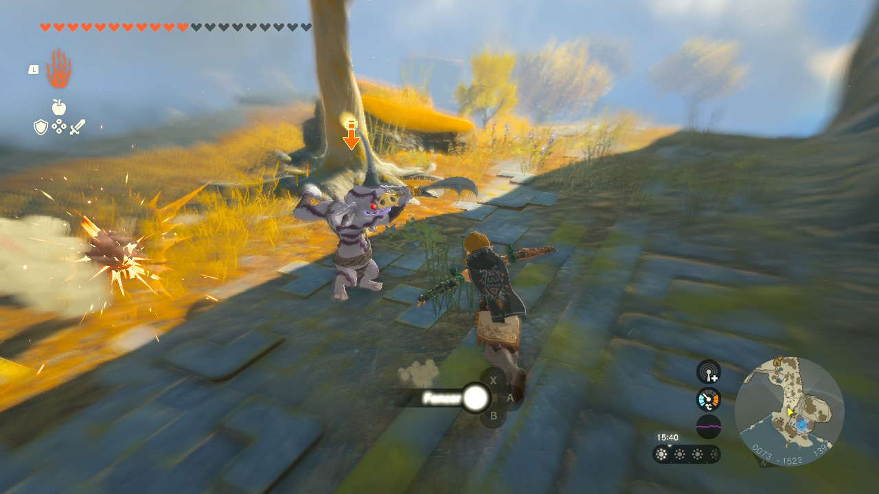 The Legend of Zelda : Souls of the Kingdom Work In Progress for The ...