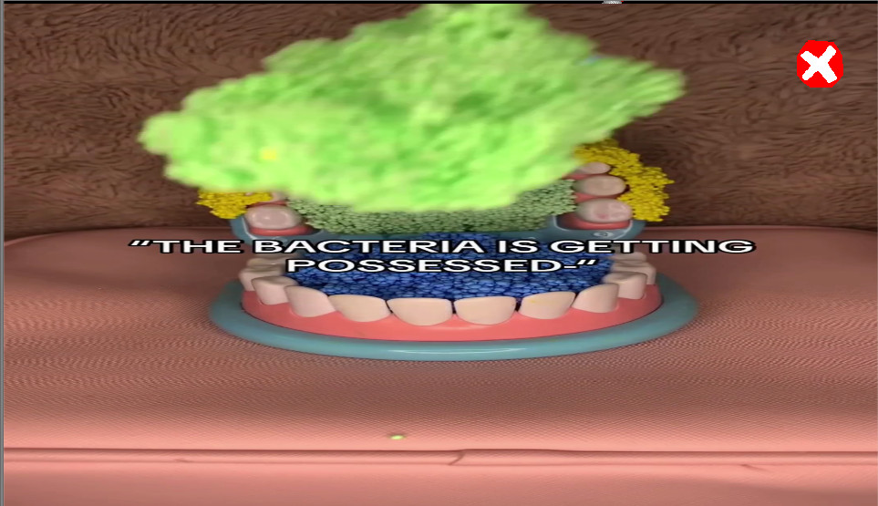 [SENSITIVE CONTENT] paldi's stupidhouse (WIP SECTION) Work In Progress ...