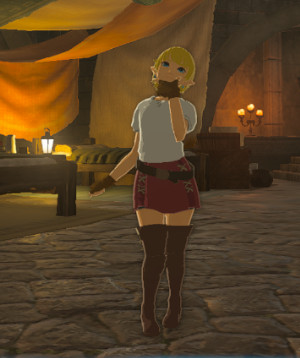 Playable Character: Linkle Work In Progress for The Legend of Zelda ...