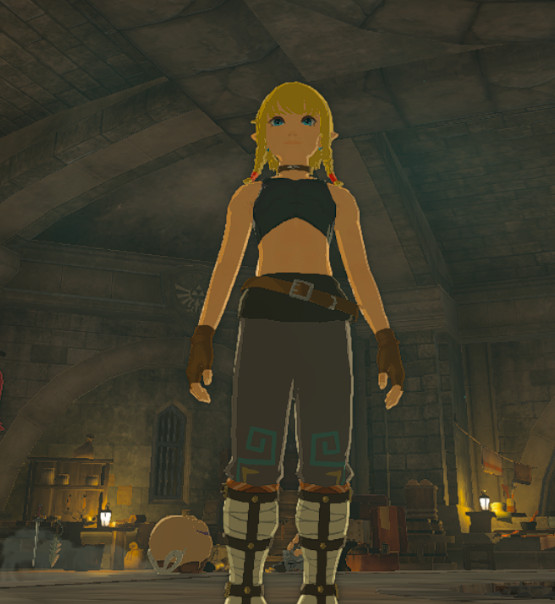 Playable Character: Linkle Work In Progress for The Legend of Zelda ...