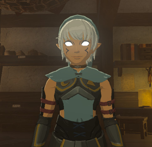 Playable Character: Linkle Work In Progress for The Legend of Zelda ...