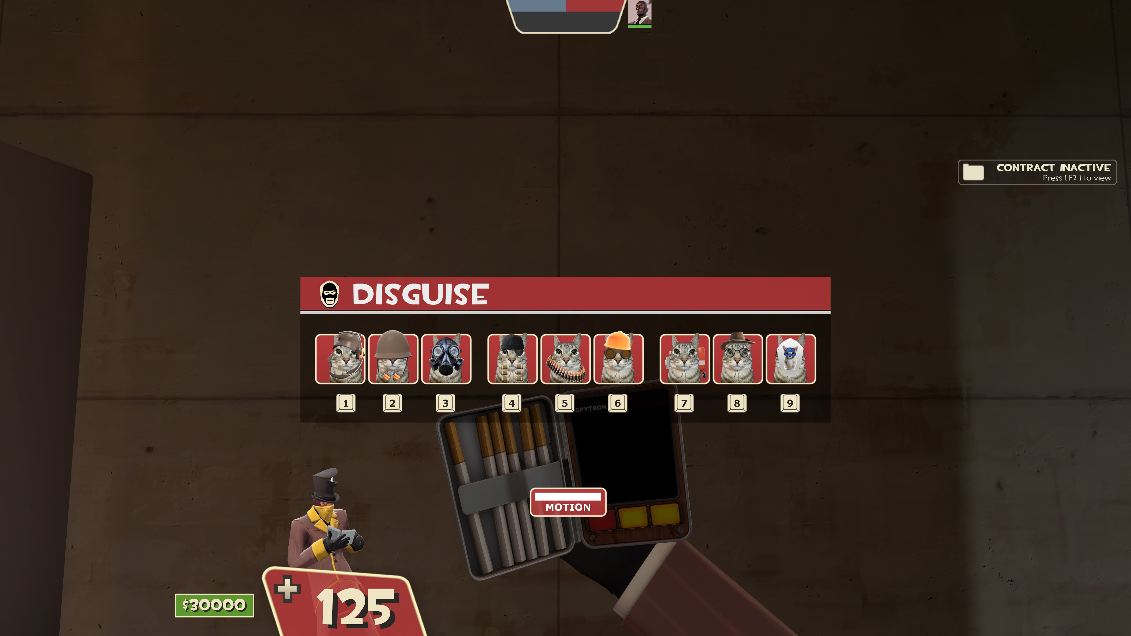 Hernancho's Cats Portraits [Hud Icons] Work In Progress for Team ...