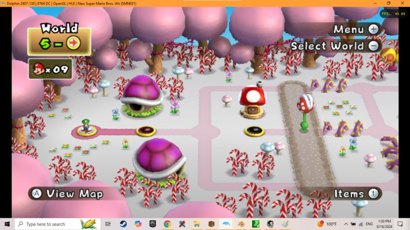 New Super Mario Bros. Wii NSMBW Mods Resources